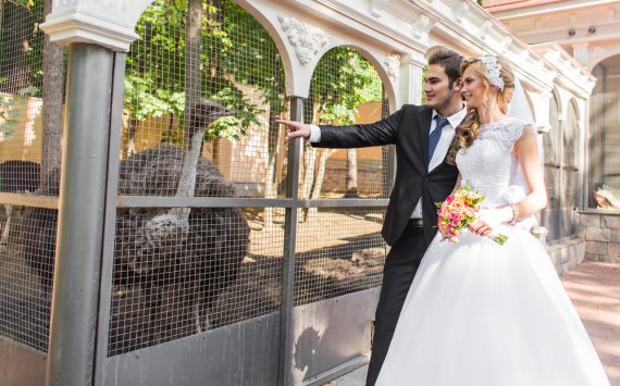 24 Unusual & Unique Wedding Venue Ideas You'll Love - Yeah Weddings